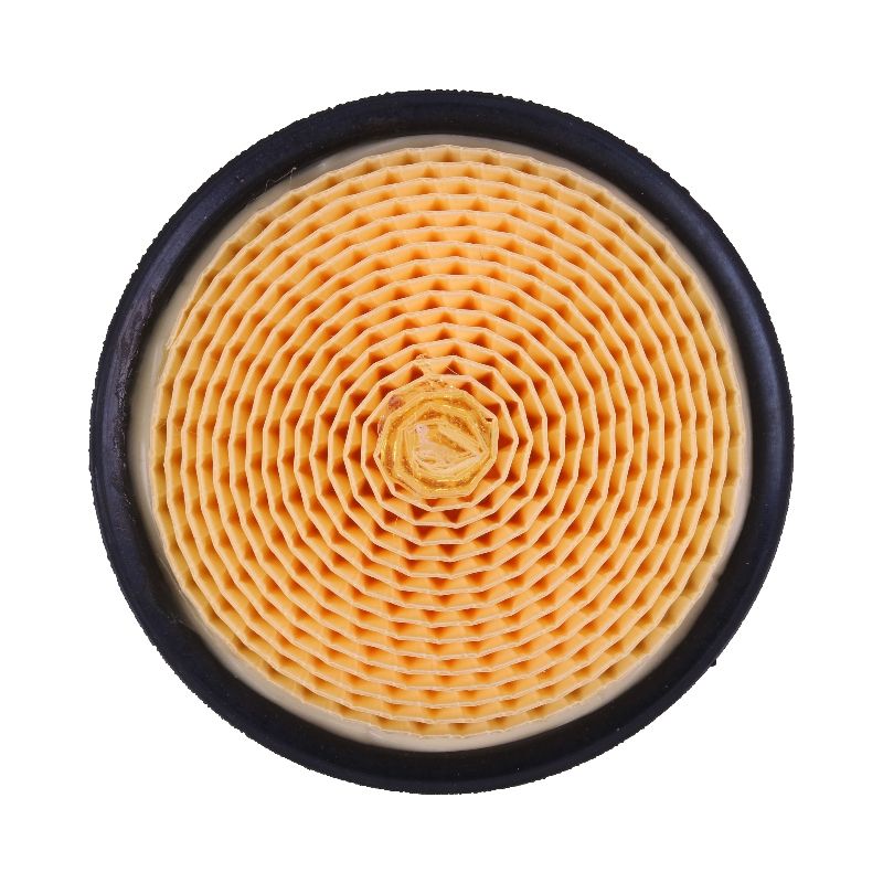 Air Filter 6.4161.0 for Kaeser Air Compressor SK15 SK20 SK21 SK24 ...