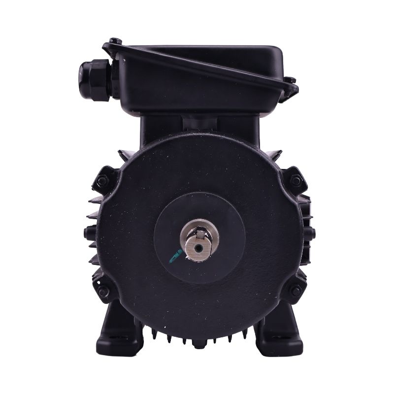 Evaporator Fan Motor 104-691 for Thermo King Transport Refrigeration C ...